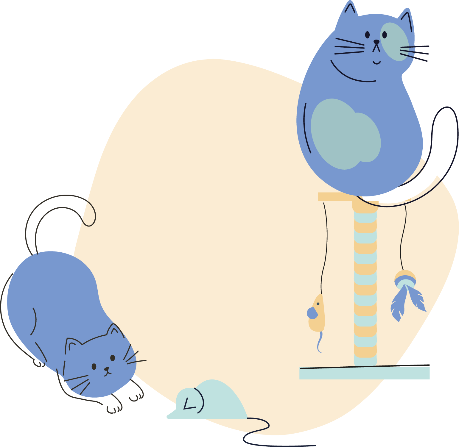 Le concept de l'hôtel pour chats | MiaouMotel